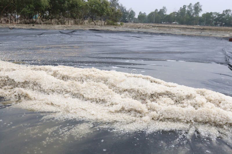 Raw Salt Farm on Plot with Polythene Bed Stock Photo - Image of finely ...
