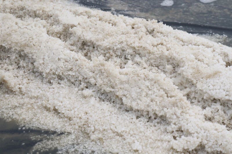 Raw Salt Farm on Plot with Polythene Bed Stock Photo - Image of algae ...