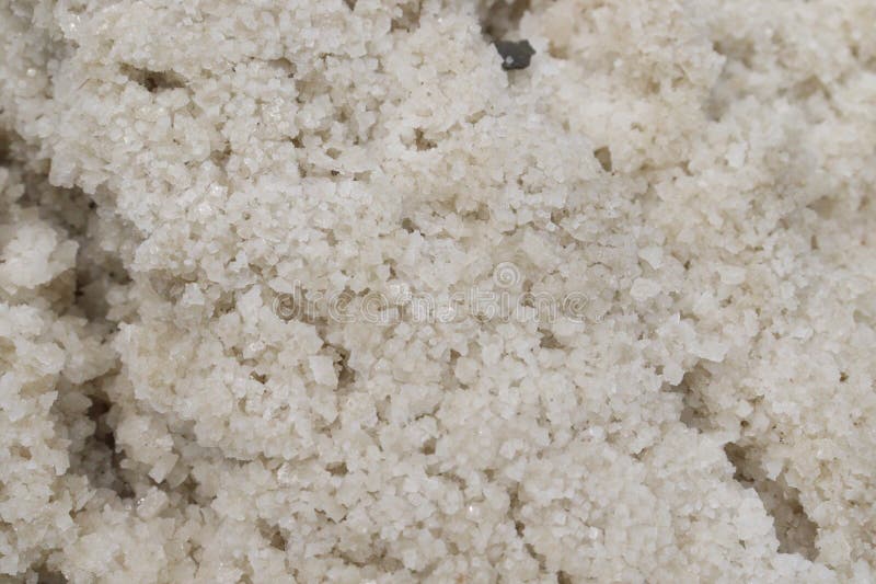 Raw Salt Farm on Plot with Polythene Bed Stock Image - Image of grain ...