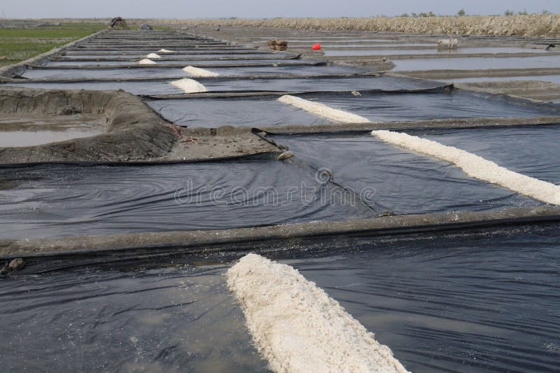 Raw Salt Farm on Plot with Polythene Bed Stock Image - Image of ...
