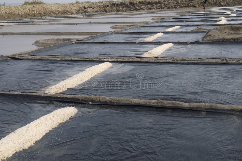 Raw Salt Farm on Plot with Polythene Bed Stock Image - Image of france ...