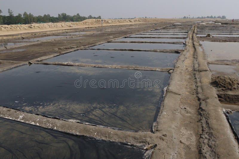 Raw Salt Farm Plot with Water and Polythene Bed Stock Image - Image of ...