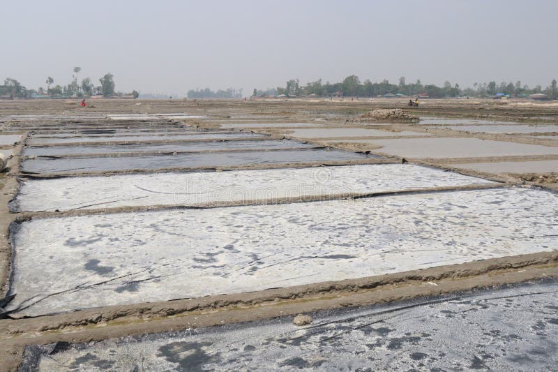 Raw Salt Farm Plot with Water and Polythene Bed Stock Image - Image of ...
