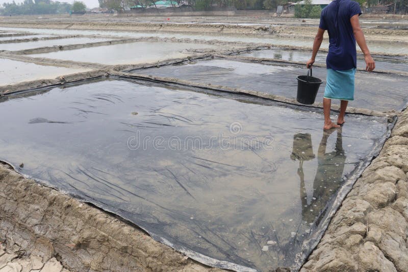 Raw Salt Farm Plot with Water and Polythene Bed Stock Photo - Image of ...