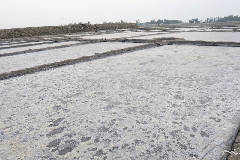 Raw Salt Farm Plot with Water and Polythene Bed Stock Image - Image of ...