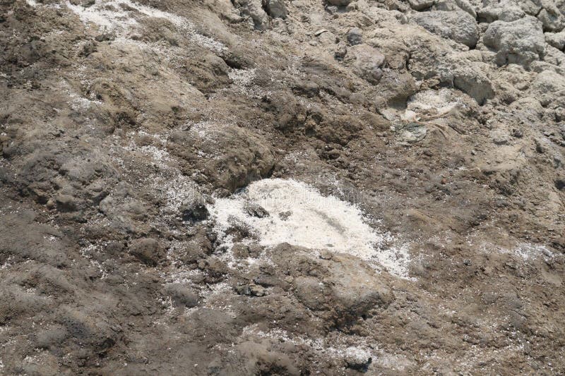 Raw Salt Processing with Water on Cave Stock Photo - Image of saline ...