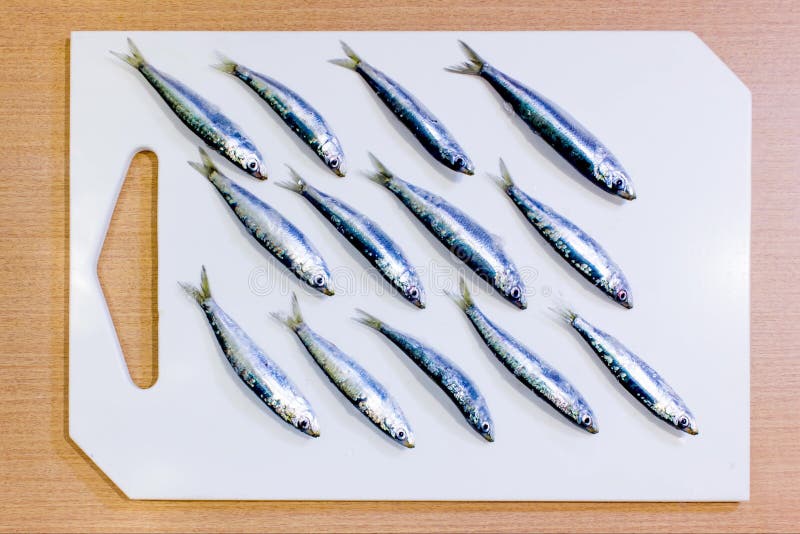 Sardines Stock Footage & Videos - 1,088 Stock Videos