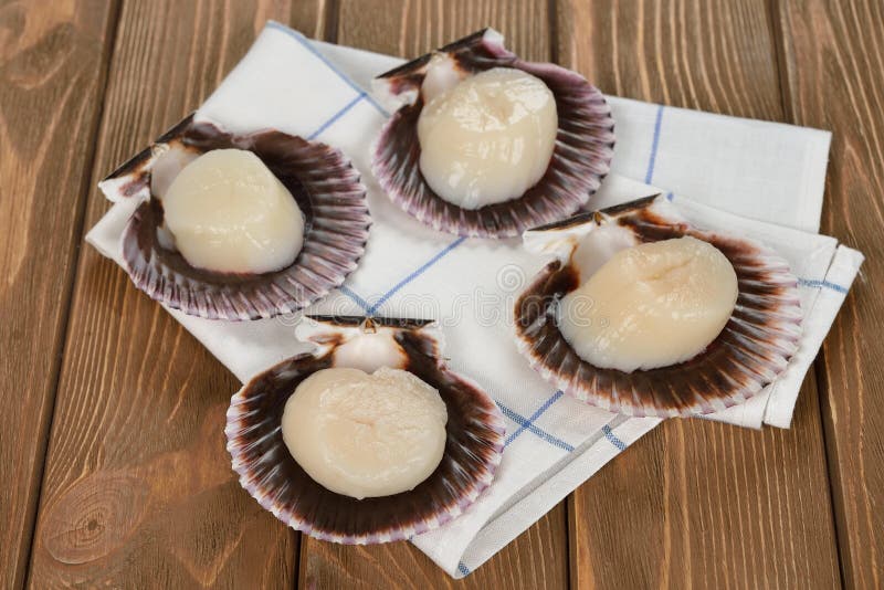 Raw scallops, opened shell stock image. Image of coquilles - 76853601