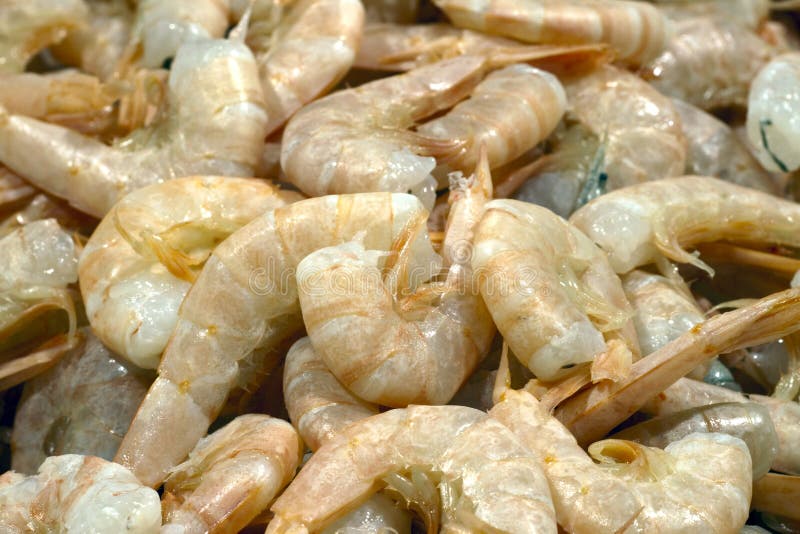 Raw Scampi stock image. Image of market, striped, food - 11552451