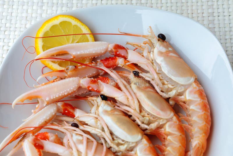 Raw scampi on the plate stock image. Image of lemon - 148784267