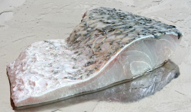 Raw sea bass stock photo. Image of appetizing, japanese - 21567034