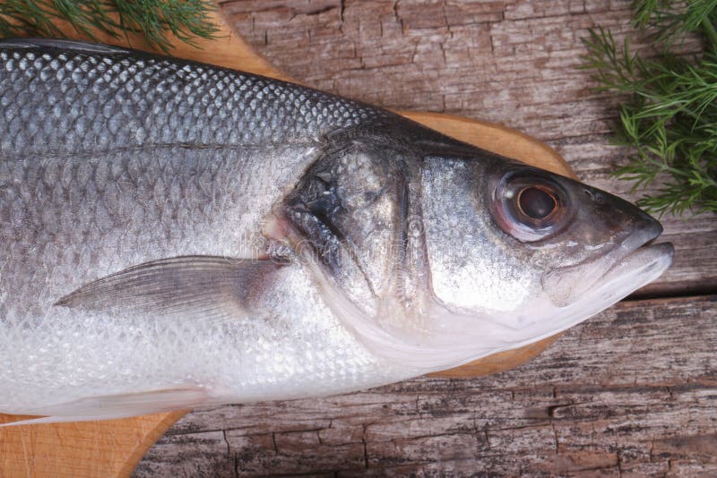 Raw Sea Bass Fish Close Up on an Old Table Stock Image - Image of fish ...