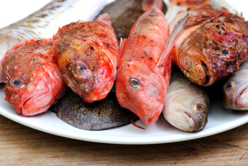 Raw sea fish stock image. Image of healthy, ingredient - 27761013
