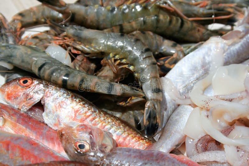 Raw Seafood stock image. Image of prawn, freshness, isolated - 1951009