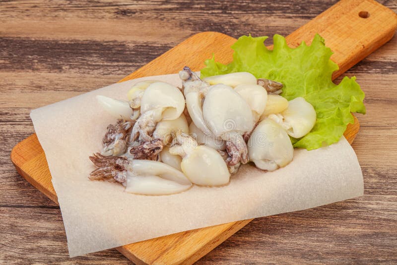 Raw Seafood - Cuttlefish for Cooking Stock Image - Image of food ...