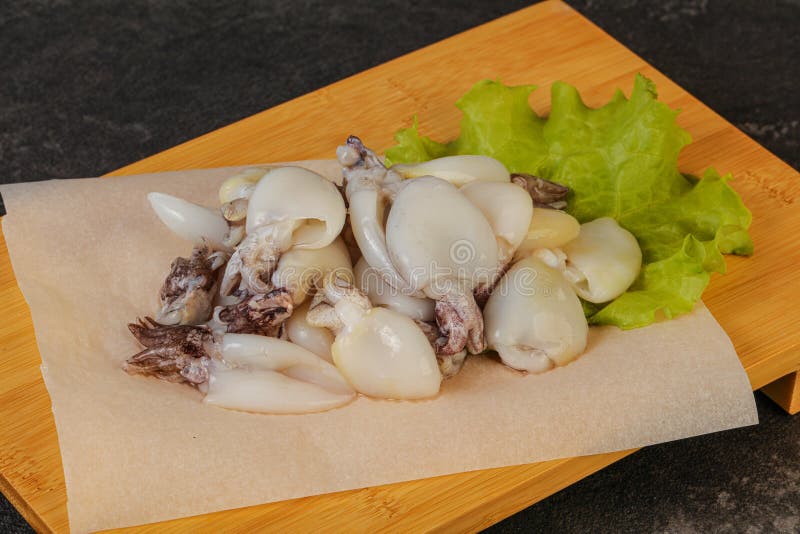 Raw Seafood - Cuttlefish for Cooking Stock Image - Image of ingredient ...