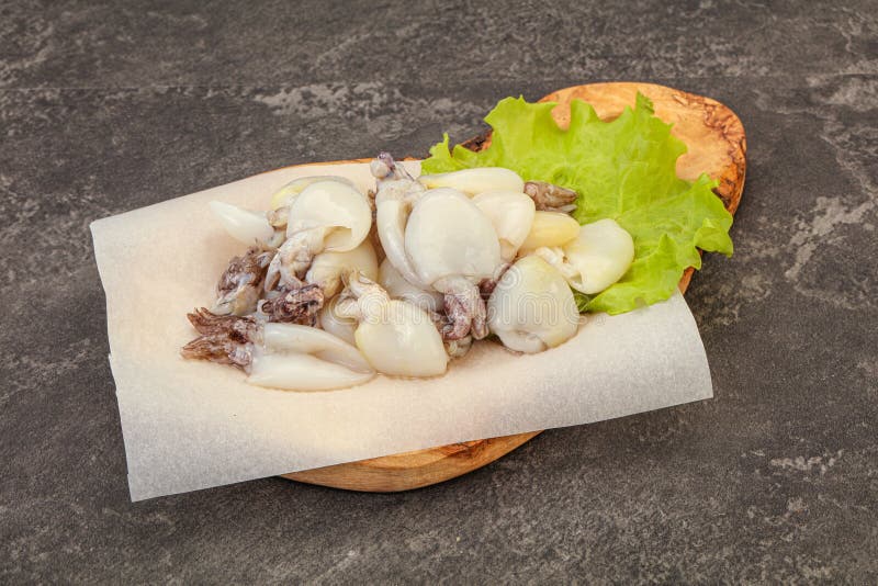 Raw Seafood - Cuttlefish for Cooking Stock Image - Image of closeup ...