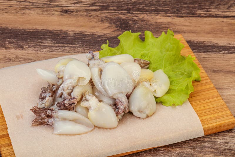 Raw Seafood - Cuttlefish for Cooking Stock Image - Image of kitchen ...