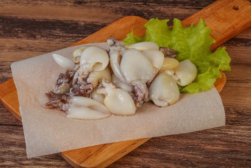 Raw Seafood - Cuttlefish for Cooking Stock Photo - Image of cook ...