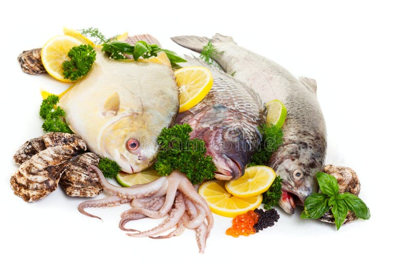 Raw Seafood Display stock photo. Image of nutrition, caviar - 73344040