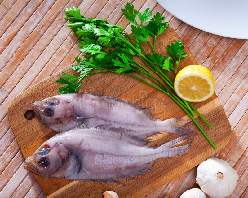 Fresh Megrim Sole Flatfish on Wooden Board Stock Image - Image of board ...
