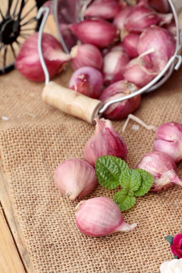 Raw Shallots for Cooking on Wood Background. Stock Photo - Image of ...