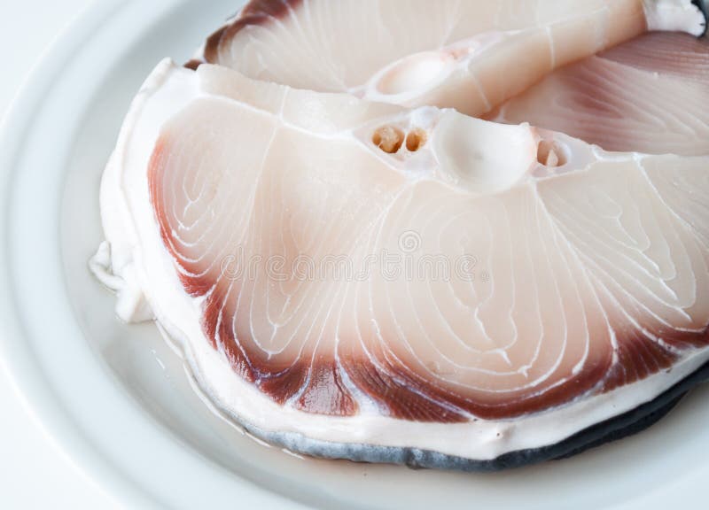Raw shark fillet stock image. Image of shark, seafood - 28991733
