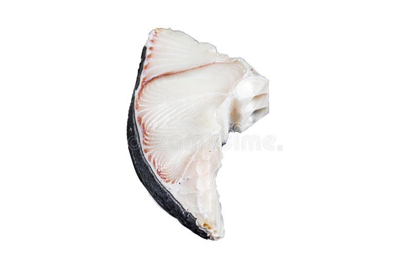 Raw Shark Fish Steaks Isolated on White Background, Top View. Stock ...