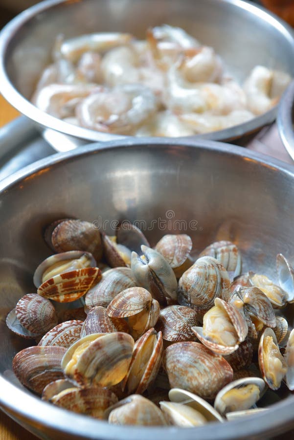 Shell clams stock image. Image of cerastoderma, collection - 176662805
