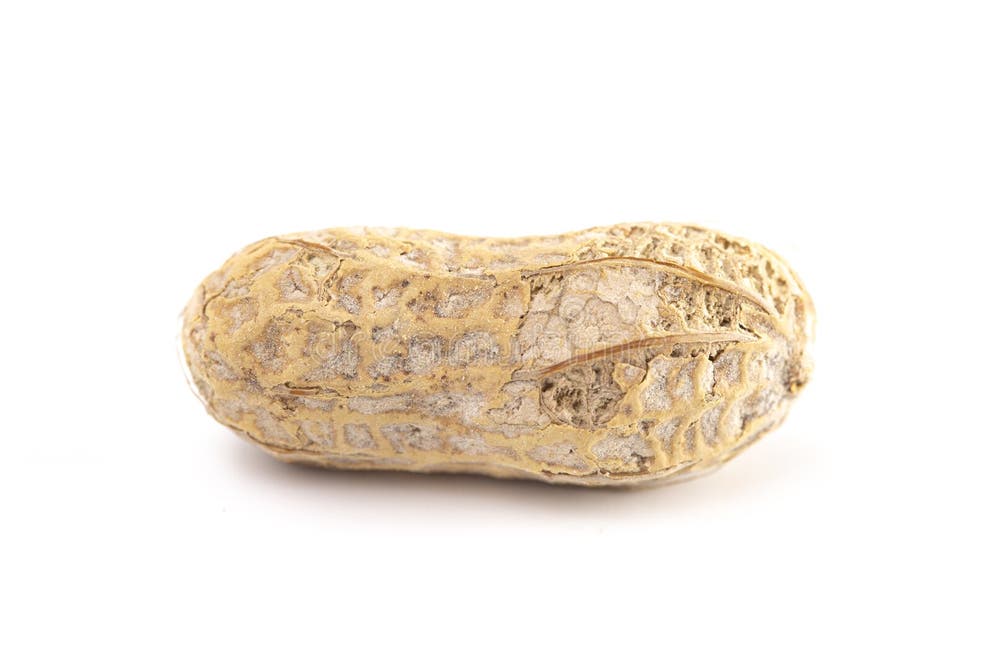 Raw in Shell Peanuts on a White Background Stock Image - Image of ...