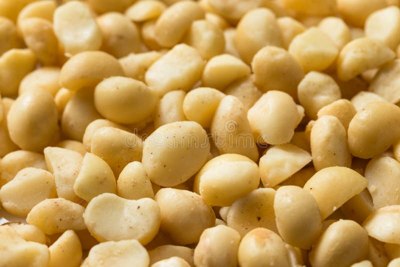 Raw Shelled Organic Macadamia Nuts Stock Photo - Image of shell ...