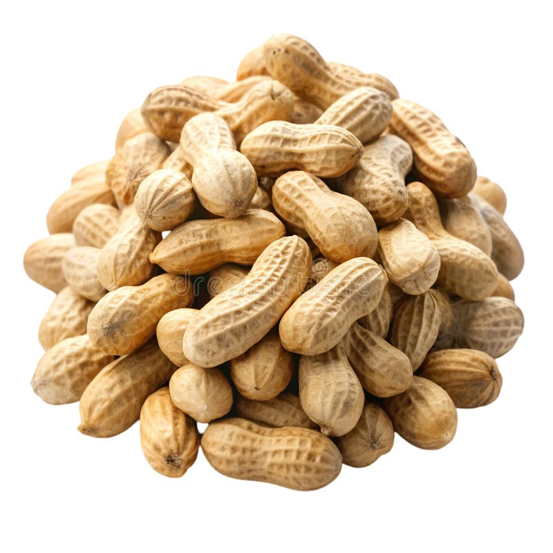 Peanuts on White Background Stock Illustration - Illustration of crunchy, vegan: 381752821