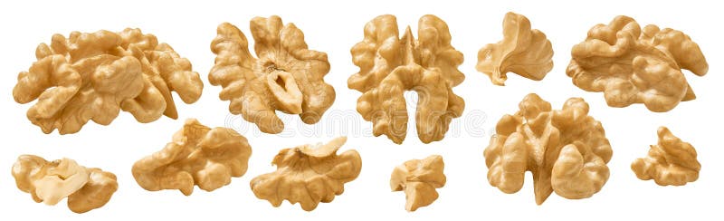 1,227 Walnut Package Stock Photos - Free & Royalty-Free Stock Photos ...