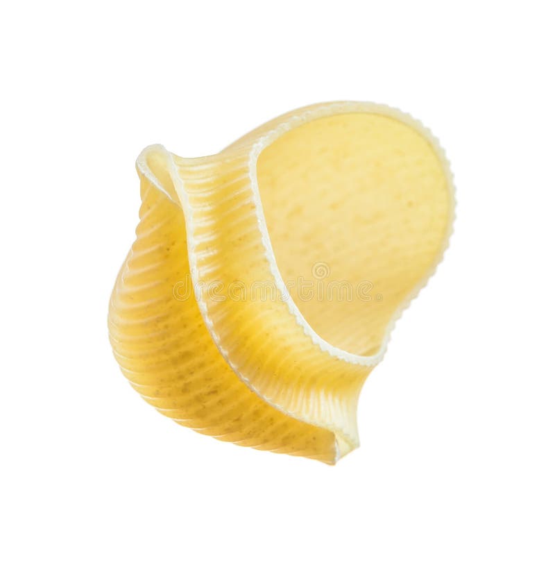 Raw Short-cut Pasta Shell Isolated on White Stock Photo - Image of ...