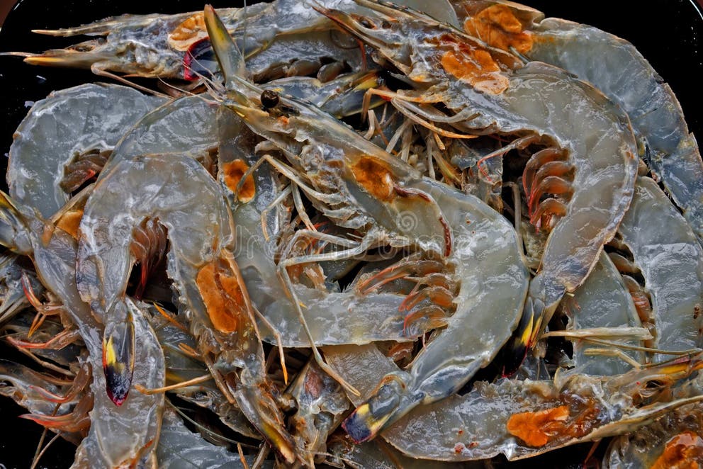 Raw shrimp stock image. Image of shrimp, inside, macro - 5491813