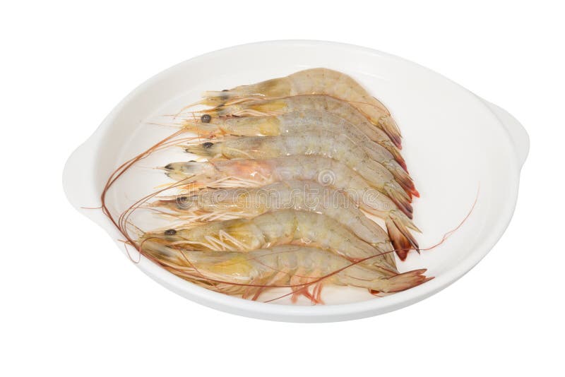 Raw shrimp on white dish stock image. Image of fresh - 58592395