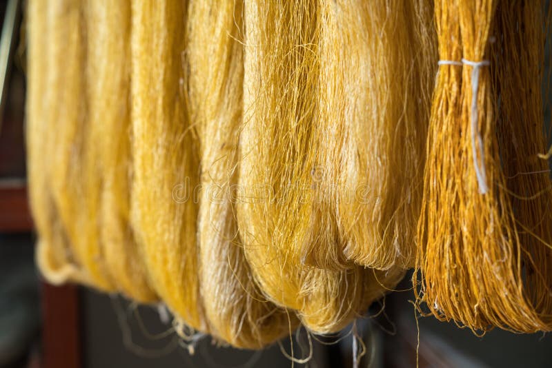 Raw Silk Thread Made from Pure Cocoon of Silkworm Stock Photo - Image ...