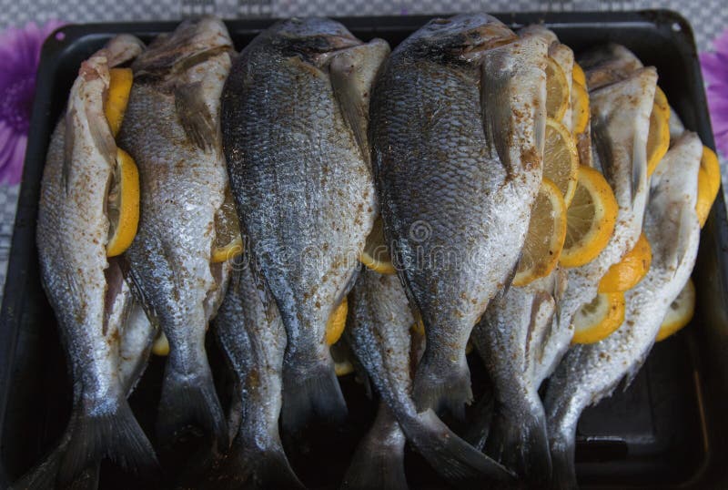 Raw silver sea bream fish stock photo. Image of marine - 77248604