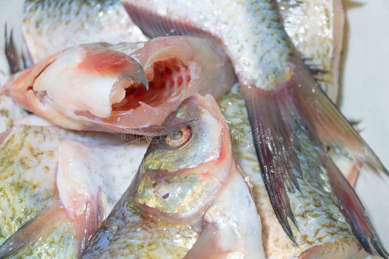Raw Sliced Fish Close Up - in the Cooking Process Stock Photo - Image ...