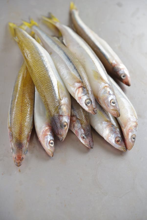 Raw smelt stock image. Image of copy, uncooked, table - 47224095