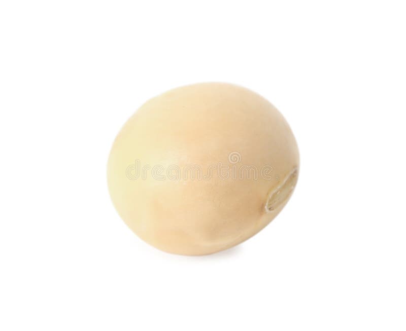 Raw Soya Bean on White Background. Vegetable Planting Stock Image ...