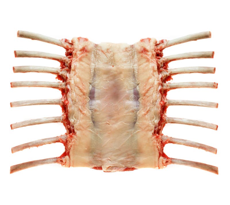 Raw spare ribs stock photo. Image of uncooked, ribs, pork - 60144328