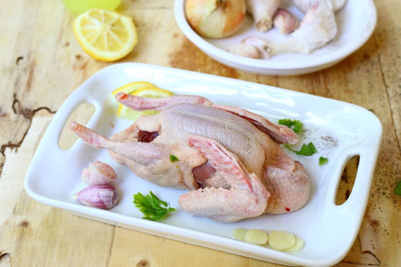 Pigeon With Middle Fingers Up Stock Photos - Free & Royalty-Free Stock ...