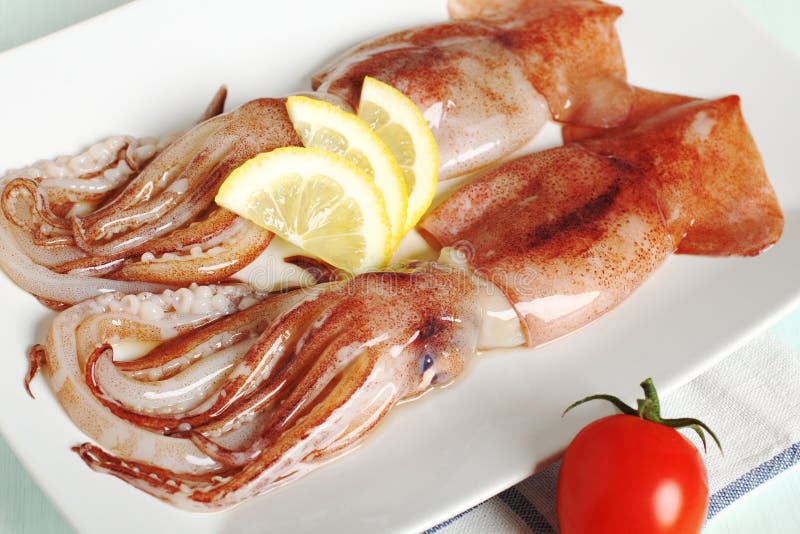 Raw squid on a plate stock photo. Image of flat, squid - 29991192