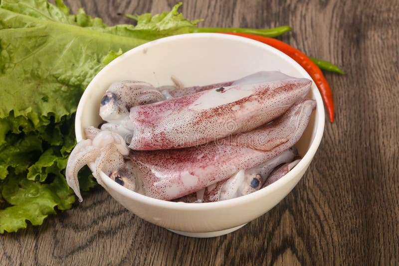 Raw squid stock image. Image of color, cephalopod, healthy - 112889541