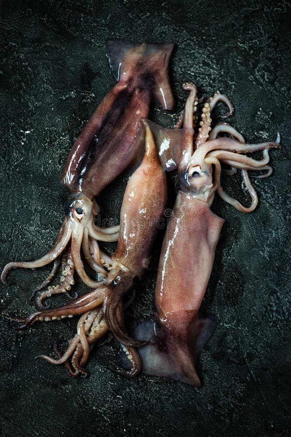 Raw Squid on a Stone Background. Stock Image - Image of squid, meat ...