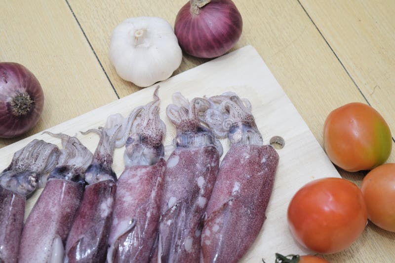 Raw squids stock photo. Image of nutrition, fresh, asian - 158653932