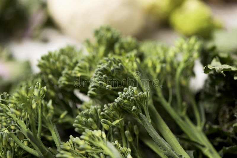 Raw Stems of Broccolini on a Table Stock Photo - Image of horizontal ...