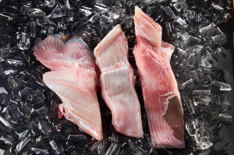 Raw Sting Ray stock image. Image of three, ikan, fresh - 21737969