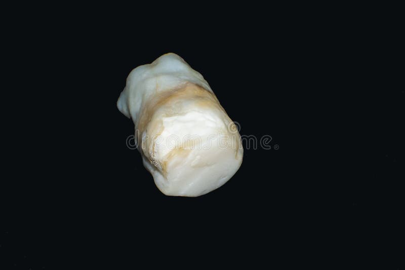 White Raw Stone Bead stock image. Image of geology, cylinder - 119699815